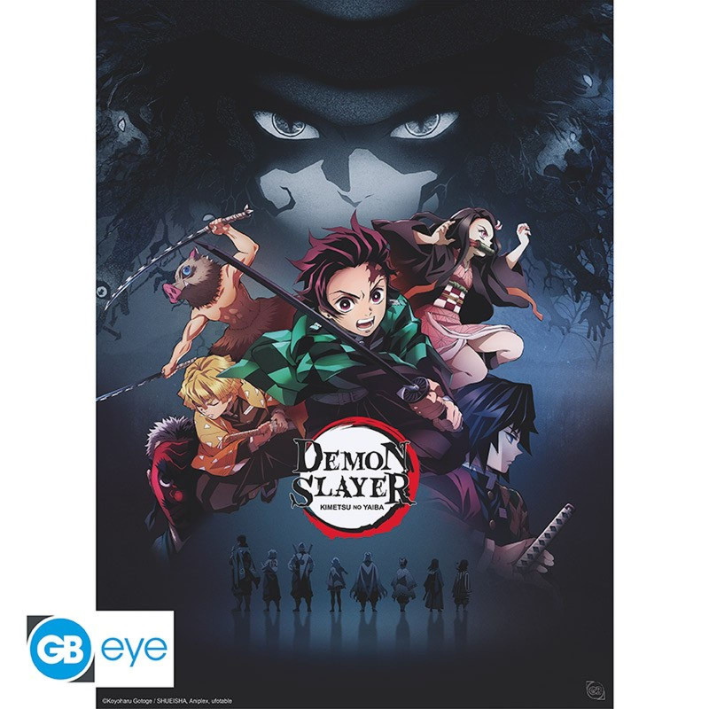 Poster Demon Slayer Pourfendeurs 52 X 38 Cm Abystyle